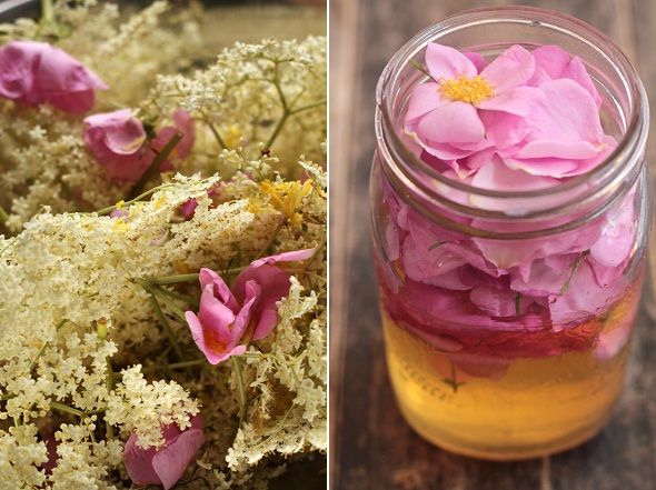 6 recipes with flowers – The Kitchen Pantry
